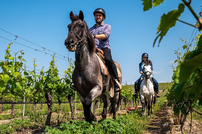 Half-Day of Horseback Adventure with Wine Tasting - Final Thoughts: Who Will Love This Tour?