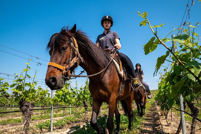 Half-Day of Horseback Adventure with Wine Tasting - FAQ: Your Practical Questions Answered