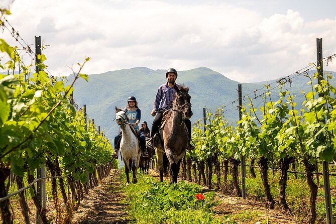 Half-Day of Horseback Adventure with Wine Tasting - Summing Up: Is This Tour Worth It?