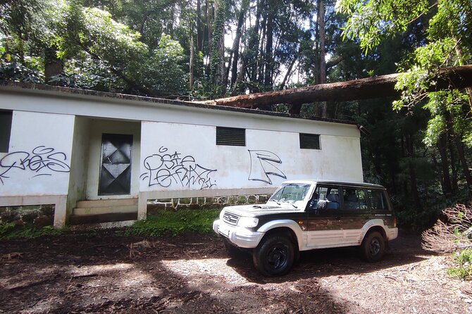 Half Day Off Road Tour in Azores - Meet Your Guide: Carlos