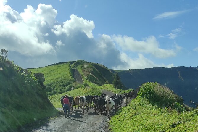 Half Day Off Road Tour in Azores - Traveler Feedback and Recommendations