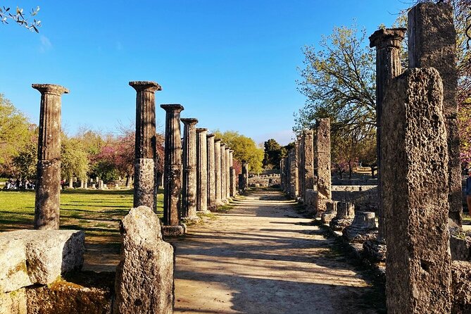 Half Day Olympia Private Tour Review - Personalized Experience With a Licensed Guide