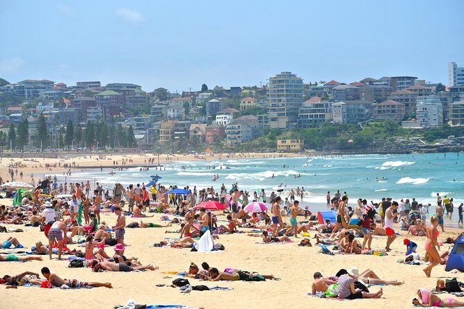 Half-Day or Full-Day Private Guide Hire From Sydney - Itinerary Breakdown: How Does It Work?