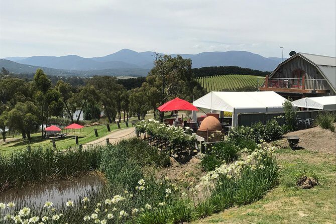 Half-Day or Full-Day Tour with Private Guide from Melbourne - Who Will Love This Tour?