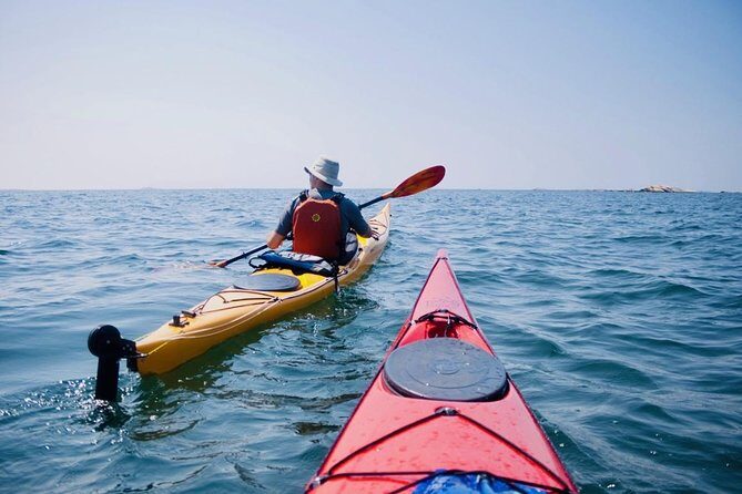 Half-Day Orleans Island Small-Group Sea Kayaking Tour - Who Should Book This Tour?