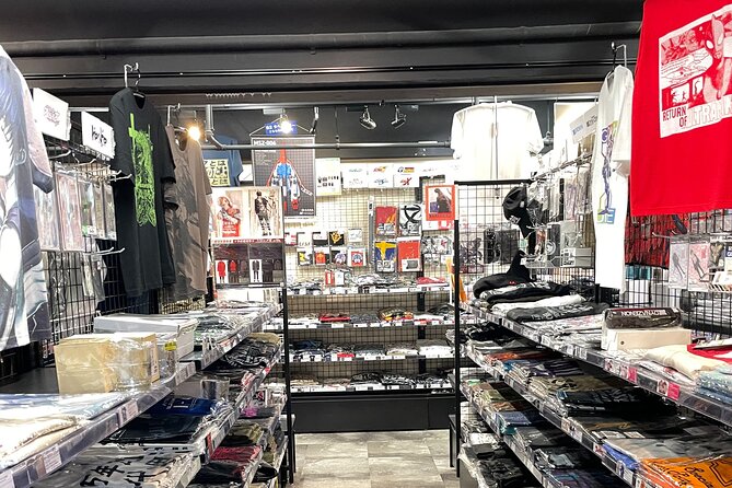 Half Day Otaku Tour for Anime and Manga Lovers in Akihabara - Customer Feedback