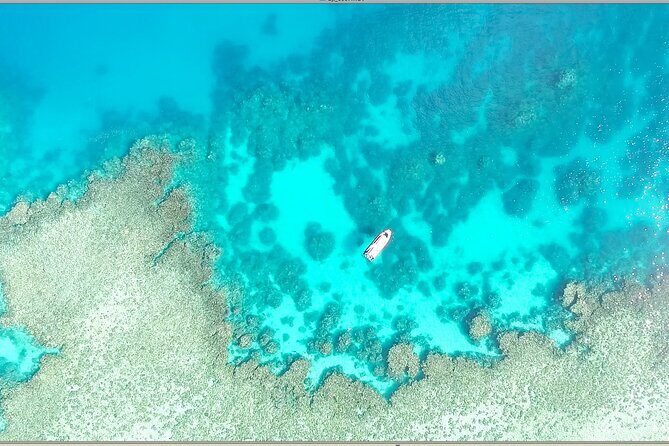 Half Day Outer Reef Snorkelling Tour from Port Douglas - Key Points