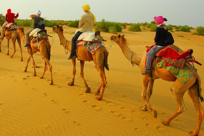 Half Day Overnight Desert Tour (Non Touristic) - Unique Overnight Desert Experience in Jaisalmer: A Honest Look
