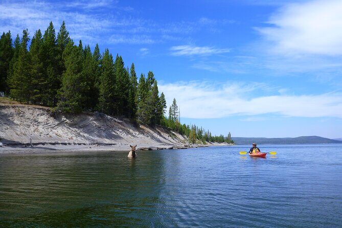 Half Day Paddle on Yellowstone Lake - Final Thoughts