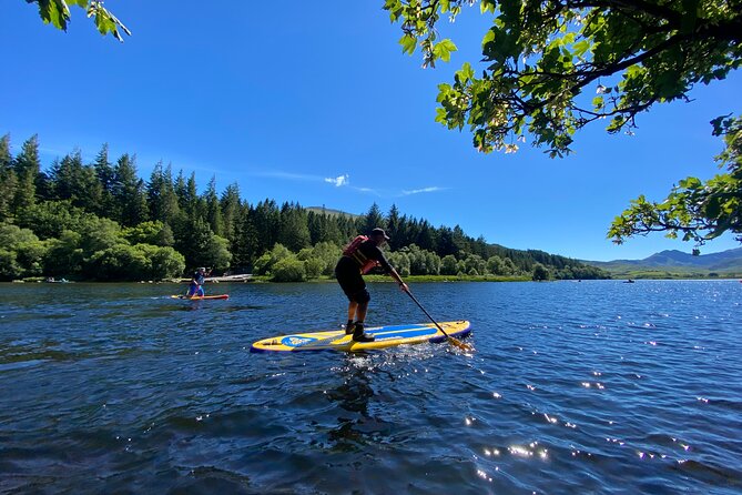 Half day Paddleboarding exploration on the Dart - Key Points