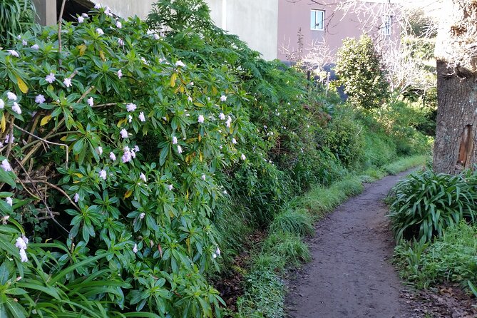 Half-Day Paradise Valley Walking Tour - FAQ