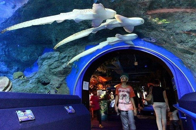 Half day Pattaya Floating Market and Underwater World Pattaya Combo - What Travelers Say