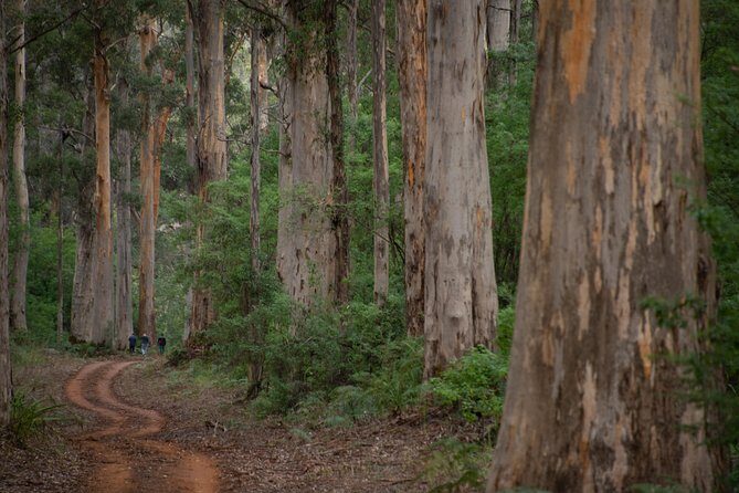 Half-Day Pemberton National Parks Beach and Forest Eco Adventure - FAQ