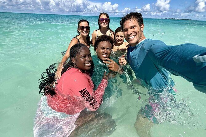 Half Day Pigs Turtles Reef and Ship Wreck Snorkeling - An In-Depth Look at the Tour Experience