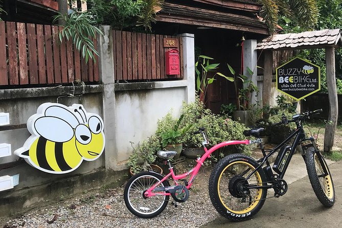 Half-day Ping River and rice paddies E-bike adventure (flat land, GUIDED) - A Scenic Introduction to Chiang Mai’s Countryside