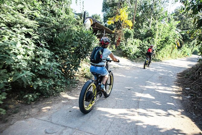 Half-day Ping River and rice paddies E-bike adventure (flat land, GUIDED) - The Value for the Price