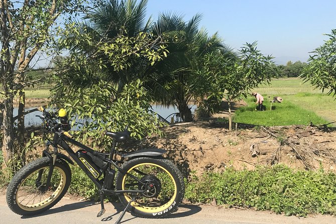 Half-day Ping River and rice paddies E-bike adventure (flat land, GUIDED) - The Bottom Line