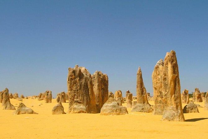Half Day Pinnacles Sunset Tour - What the Tour Offers in Detail