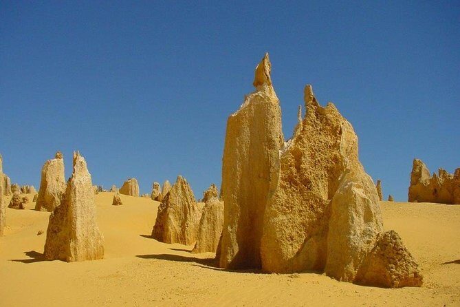 Half Day Pinnacles Sunset Tour - Who Is This Tour Best For?