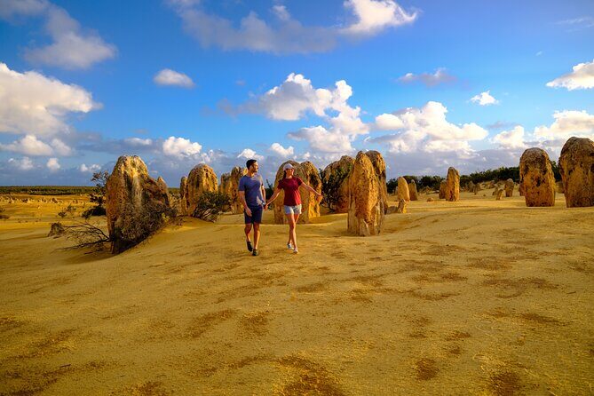 Half Day Pinnacles Sunset Tour - The Sum Up