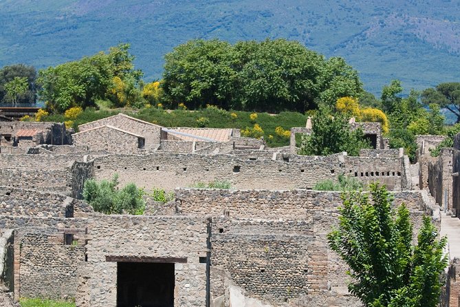 Half Day Pompeii Sightseeing Tour From Sorrento - Participant Experience and Feedback