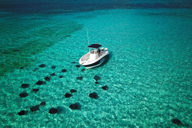 Half Day Private Boat Charter in Grand Cayman - What’s Included and What to Expect