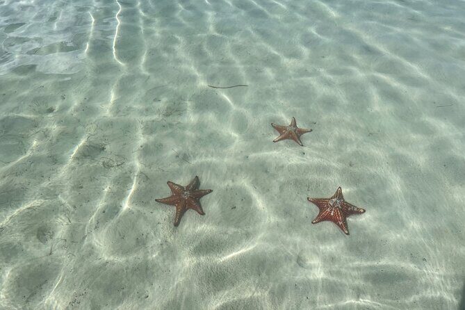 Half Day Private Boat Charter in Grand Cayman - Authentic Experiences from Travelers