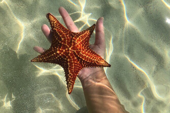 Half Day Private Boat Charter in Grand Cayman - Is This Tour Right for You?