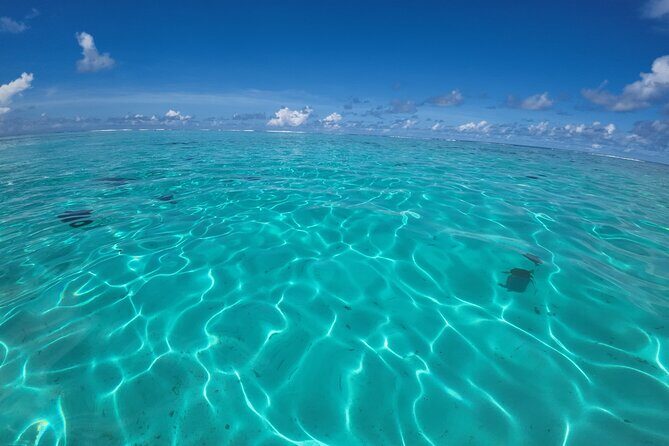 Half Day Private Boat Snorkeling Excursion Moorea - The Perfect Introduction to Moorea’s Natural Beauty