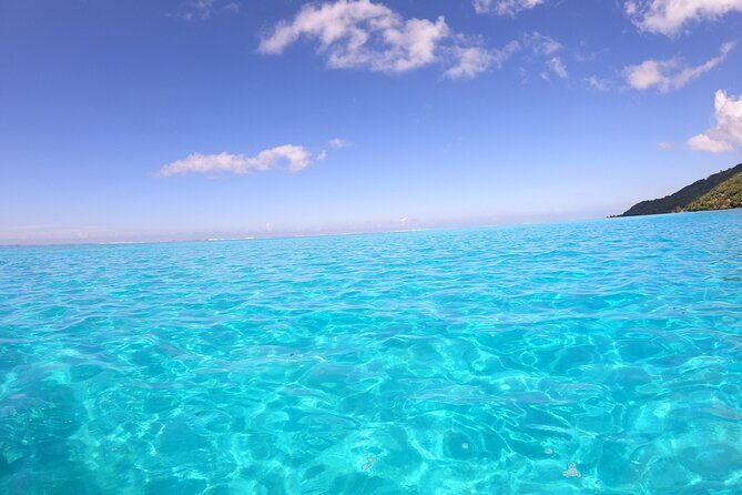Half Day Private Boat Snorkeling Excursion Moorea - The Guides and Overall Service