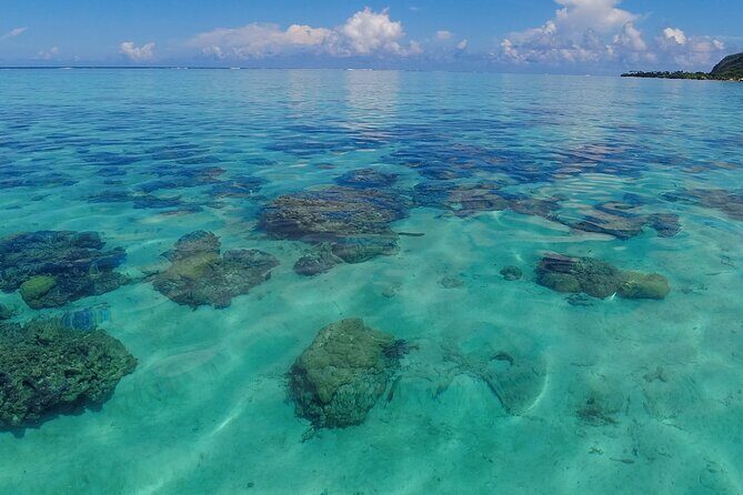 Half Day Private Boat Snorkeling Excursion Moorea - The Sum Up