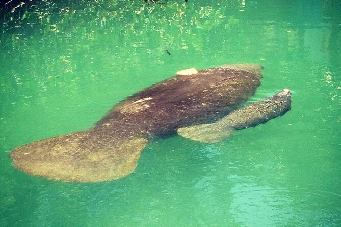Half Day Private Boat Tour - Final Thoughts