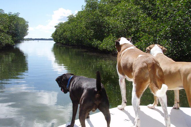 Half Day Private Boat Tour - Frequently Asked Questions