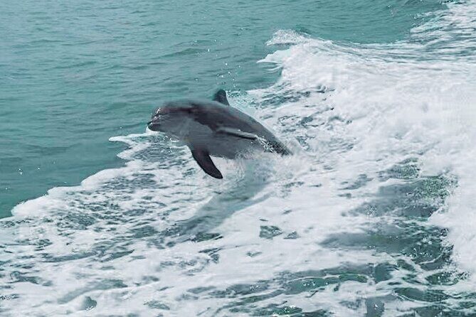 Half-Day Private Boating On Blue Hurricane - Clearwater Beach - Final Thoughts