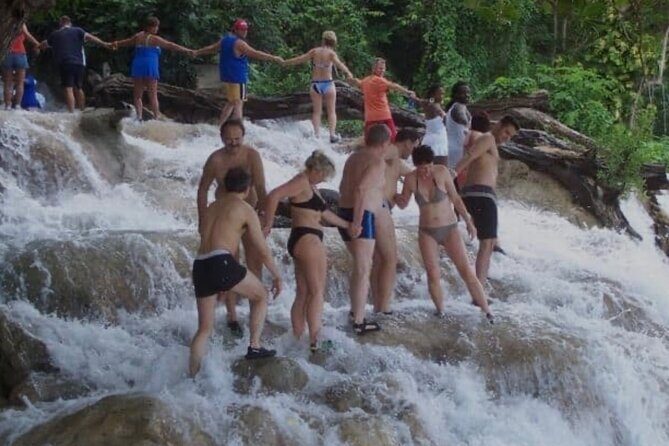 Half- Day Private Bob Marley 9 Mile and Dunns River Falls Tour - Why This Tour Works for You