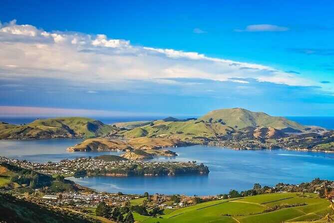 Half-Day Private City, Sights & Wildlife Tours - What Travelers Are Saying