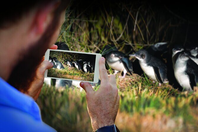 Half-Day Private City, Sights & Wildlife Tours - Frequently Asked Questions
