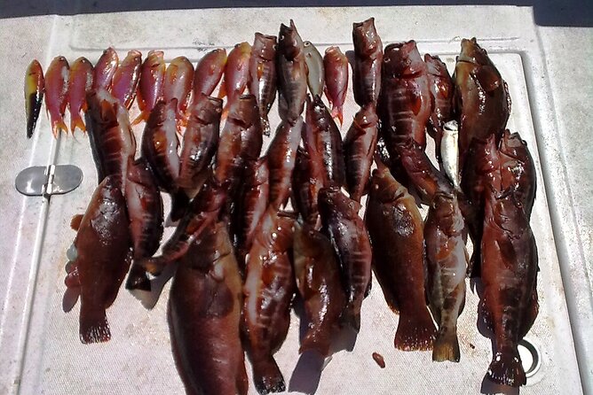 Half-Day Private Coastal Fishing Escape - FAQs