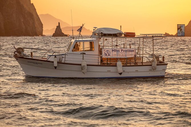 Half Day Private Cruise from Pollonia to Polyaigos - Authentic Experience and Local Expertise