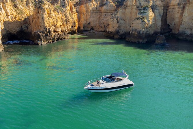 Half-Day Private Cruise With Drinks, Snacks, Paddleboards & Kayak - Guest Reviews and Feedback