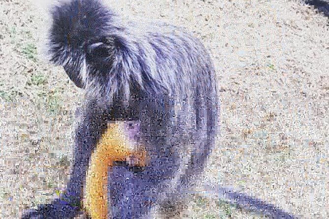 Half Day Private Cultural Discovery in Kuala Lumpur - What the Reviews Say