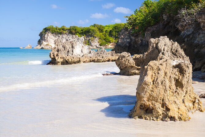 Half Day Private Cultural Tour Of Dominican Republic - Authentic Experiences and Genuine Insights