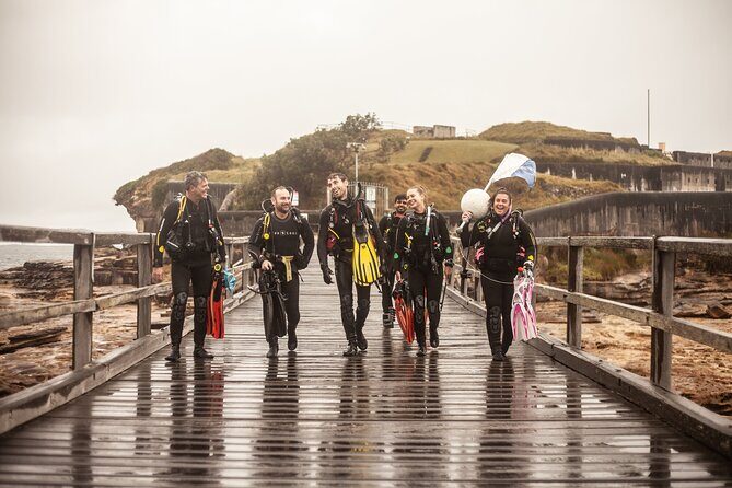 Half-Day Private Discover Dive at Australia's Iconic Beach - What Is the Half-Day Private Discover Dive?
