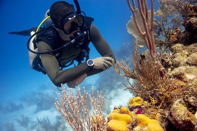 Half-Day Private Discover Dive at Australia's Iconic Beach - Itinerary Breakdown: What to Expect