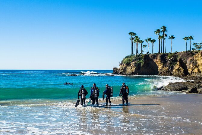 Half-Day Private Discover Dive at Australia's Iconic Beach - Practical Considerations: Price, Duration, and Booking
