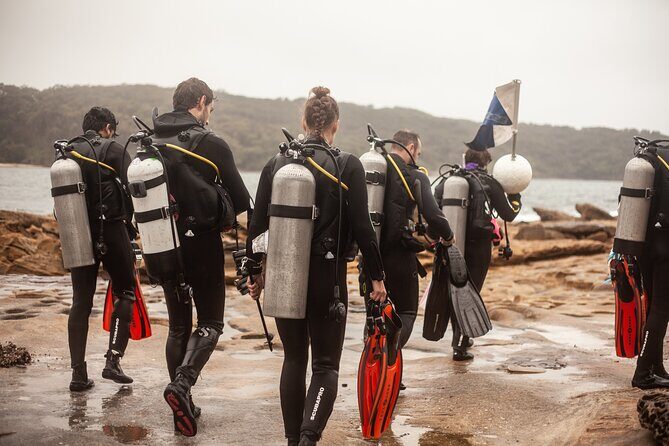 Half-Day Private Discover Dive at Australia's Iconic Beach - Final Thoughts
