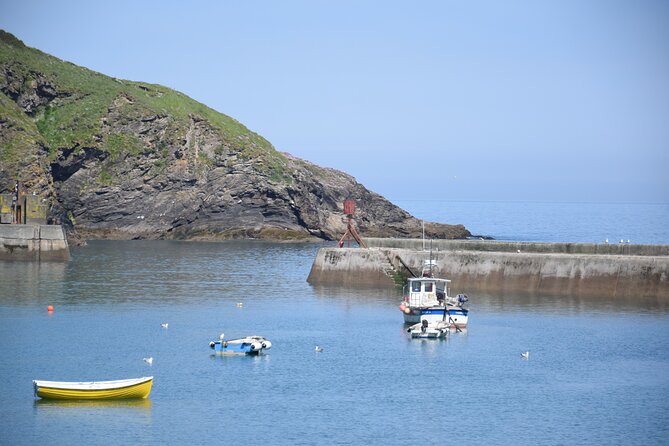 Half-Day Private Doc Martin and Fisherman's Friends Tour - What the Reviews Say