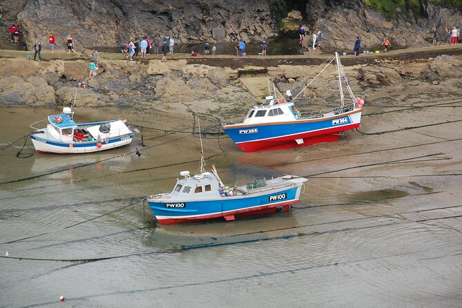 Half-Day Private Doc Martin and Fisherman's Friends Tour - Transportation and Practicalities