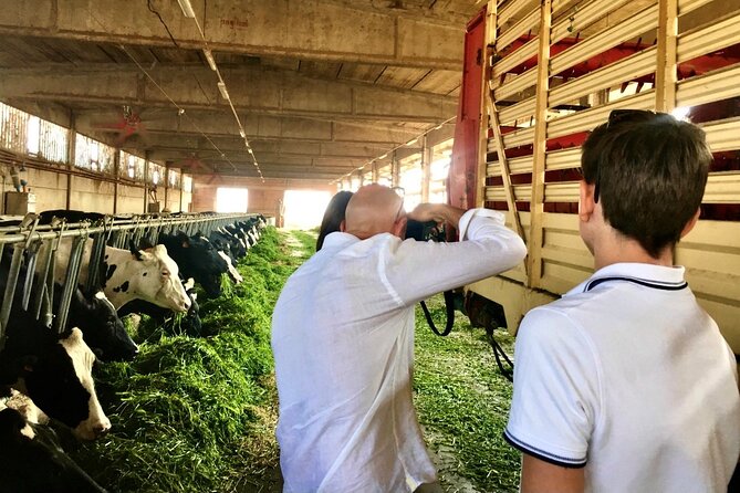 Half Day Private Emilia Foodie Experience - Exploring Parmigiano Reggiano Cheese