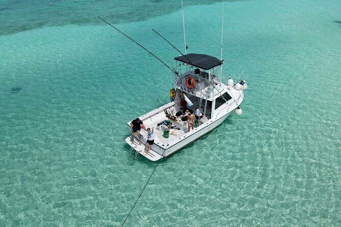 Half Day Private Fishing Charter in Cozumel - Final Thoughts: Who Should Consider This Tour?
